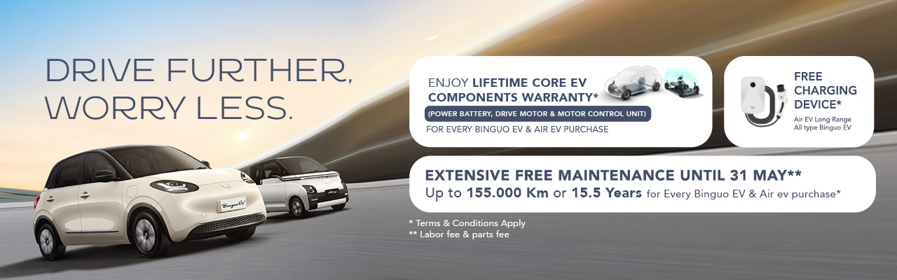 Best Electric, EV, Environmentally Friendly Cars | Wuling